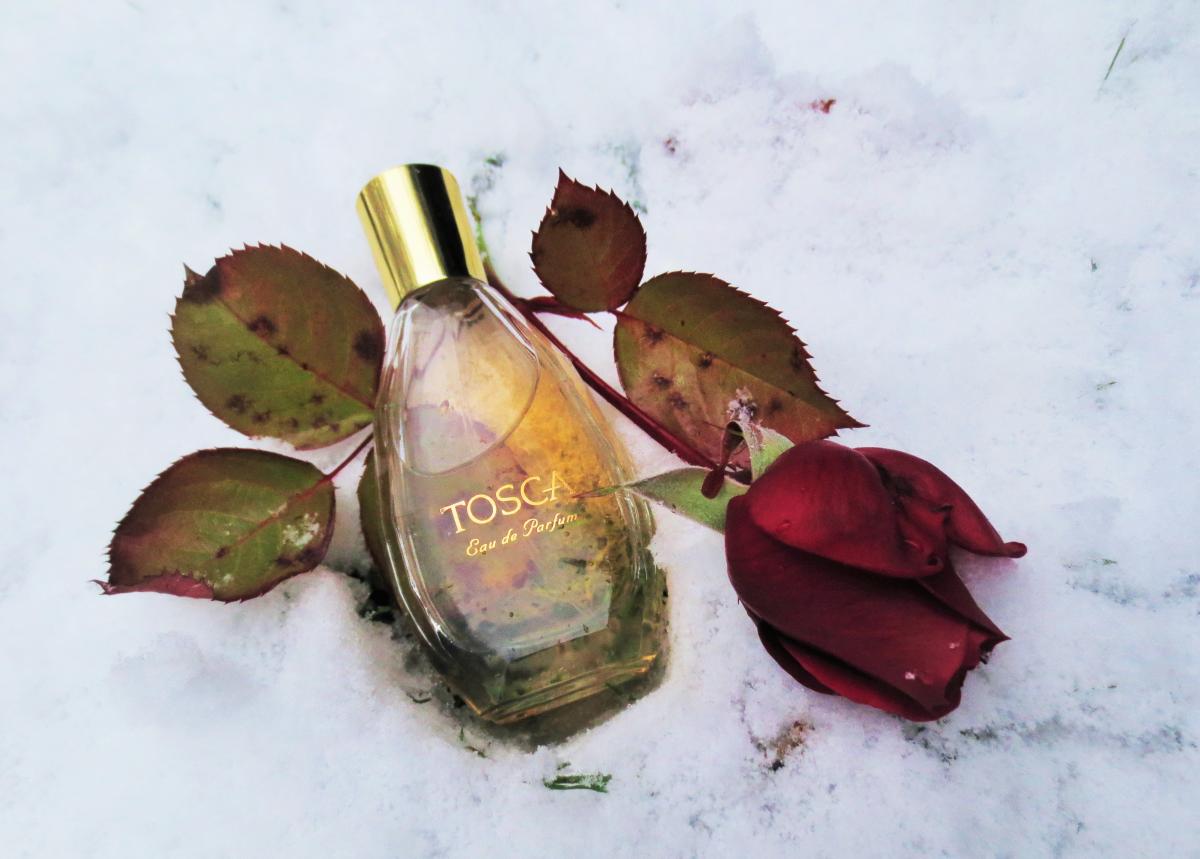 Tosca Tosca perfume - a fragrance for women 1921