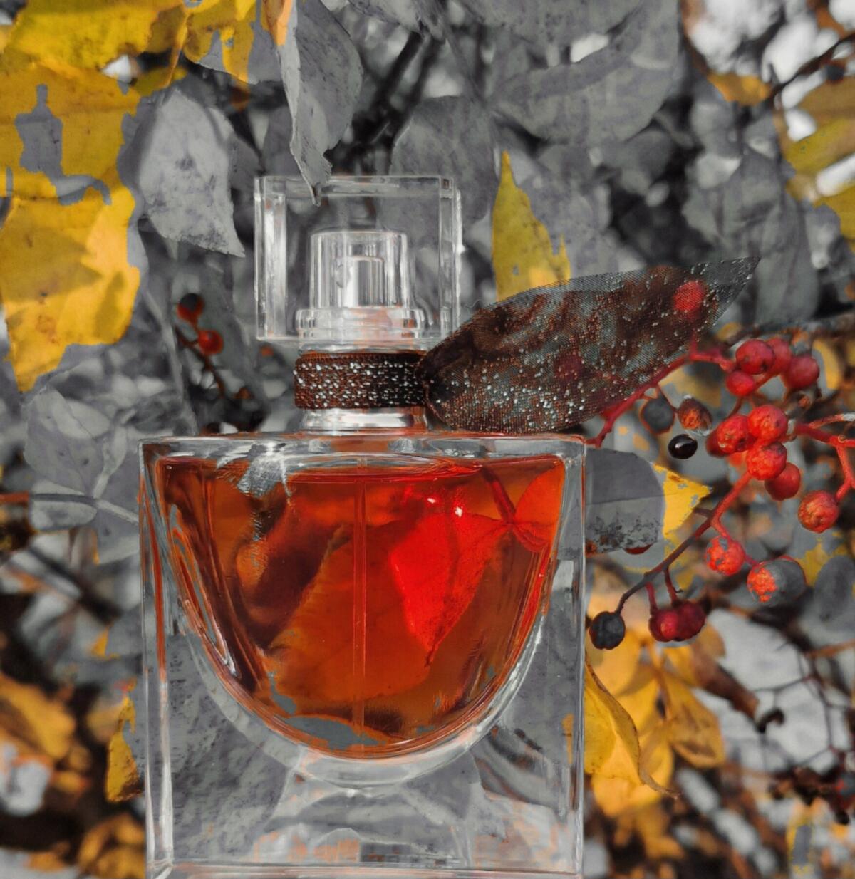 La Vie est Belle L'Elixir Lancôme perfume - a new fragrance for women 2024