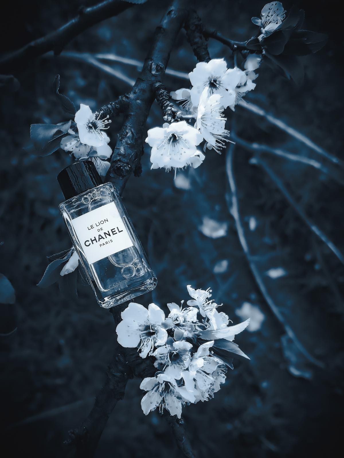 Le Lion Eau de Parfum Chanel perfume - a fragrance for women and men 2020