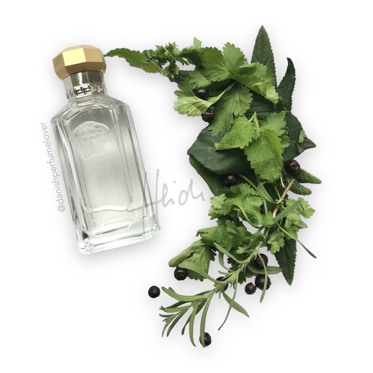The Dreamer Versace cologne - a fragrance for men