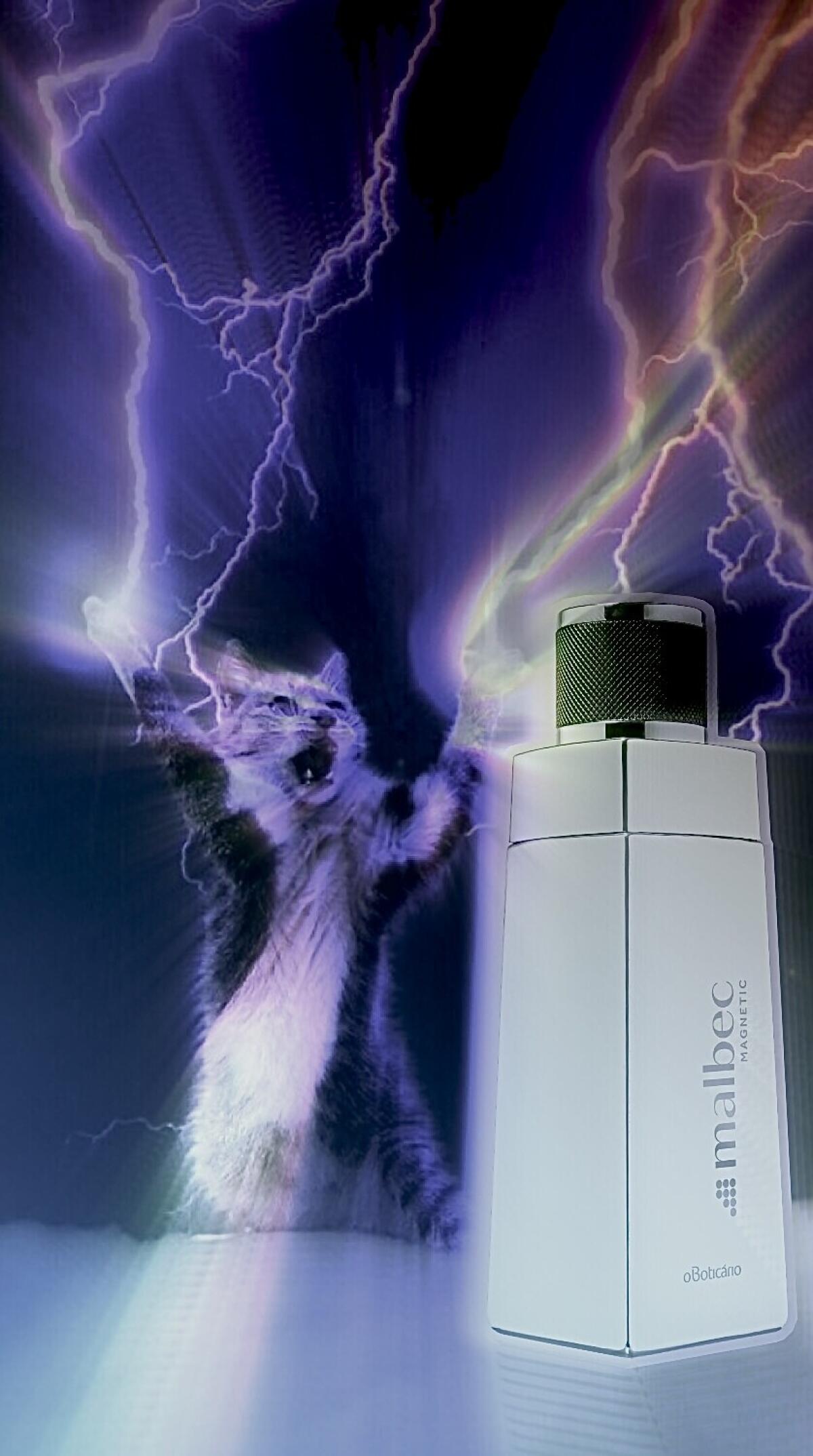 Malbec Magnetic O Boticário cologne - a fragrance for men 2018