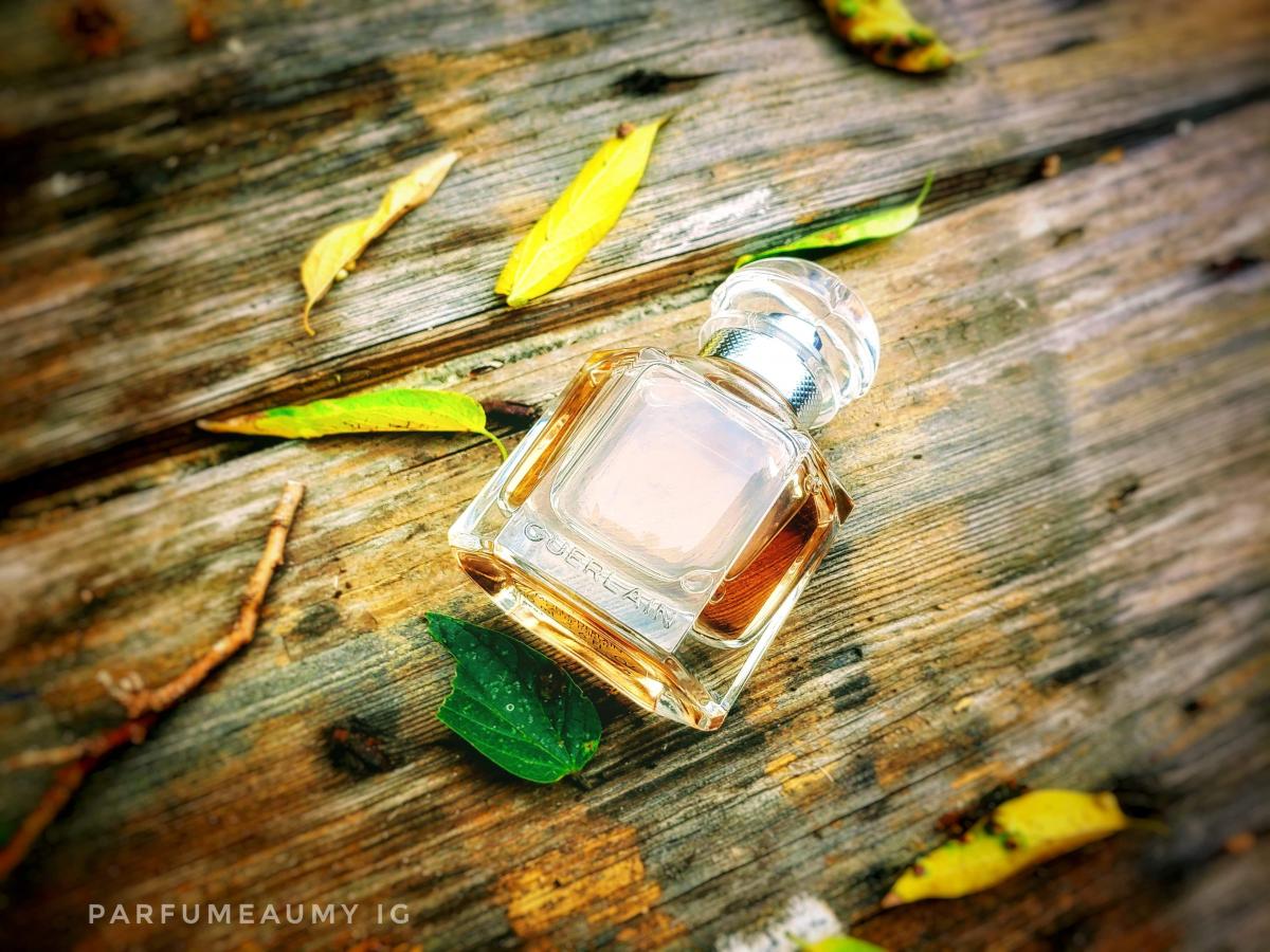 Mon Guerlain Eau de Toilette Guerlain perfume - a fragrance for women 2018