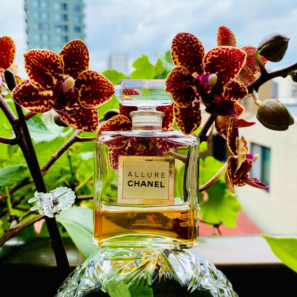 Allure Parfum Chanel perfume - a fragrance for women