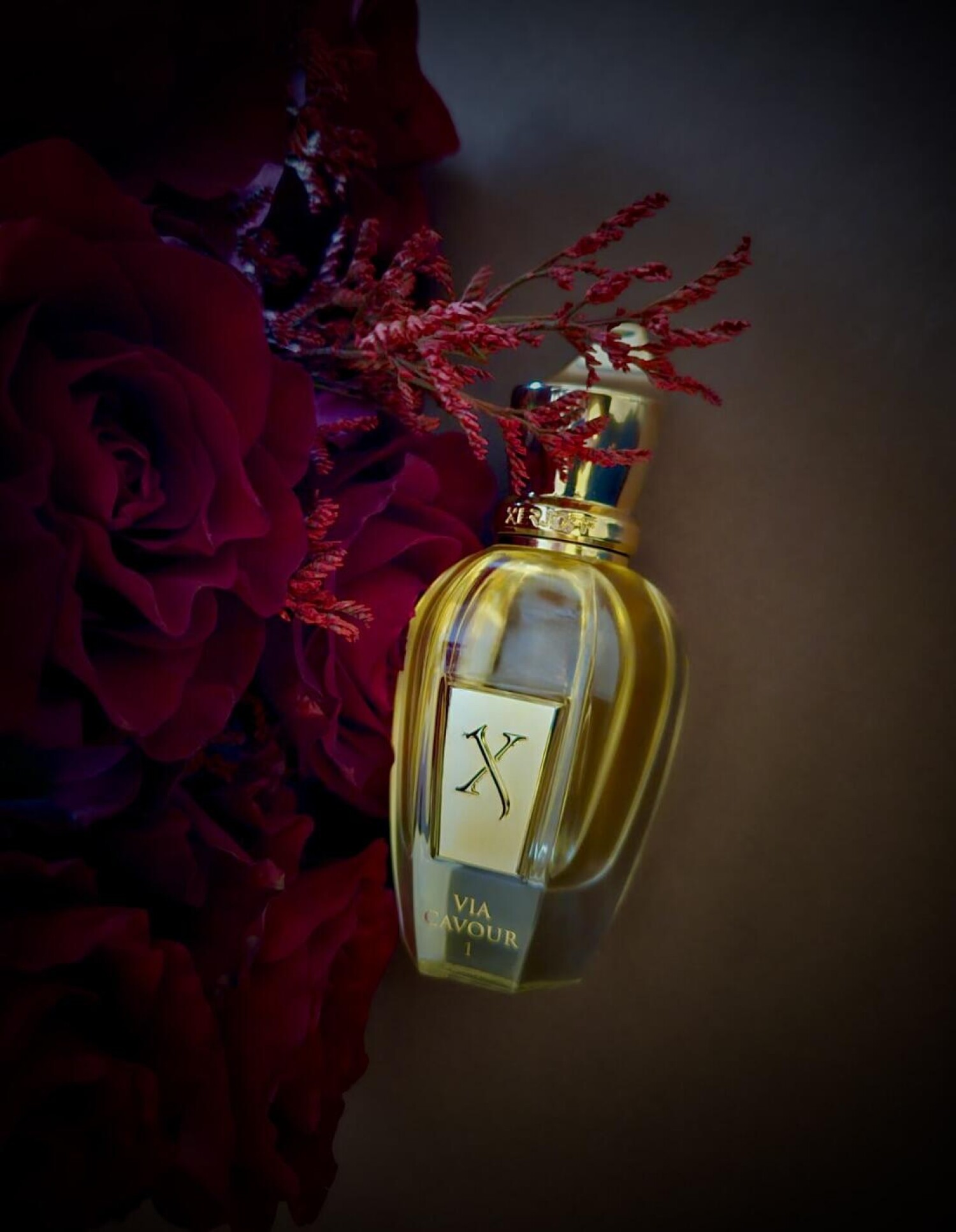 Via Cavour I Xerjoff perfume - a fragrance for women and men 2017