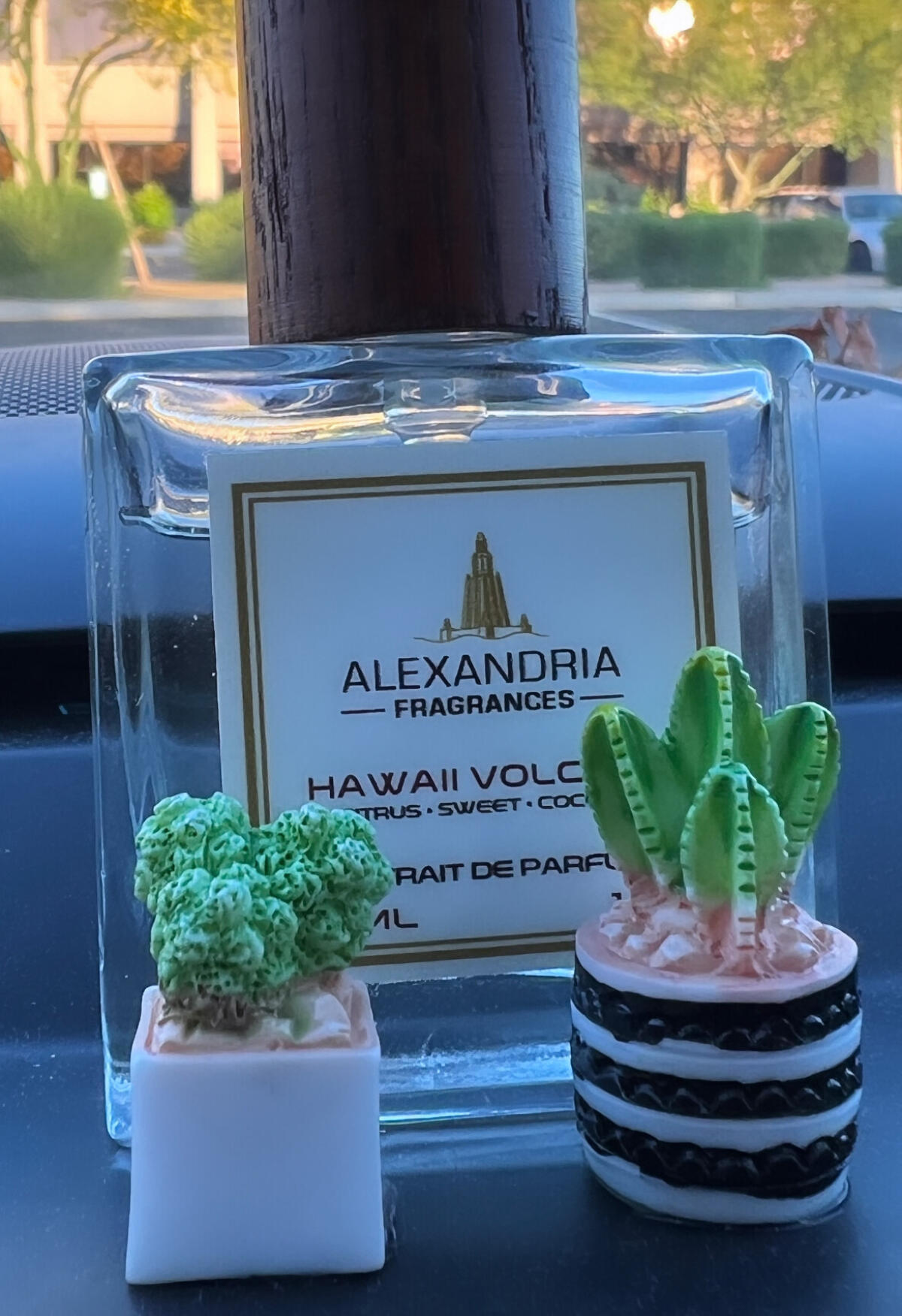 Hawaii Volcano Alexandria Fragrances аромат — аромат для мужчин и ...