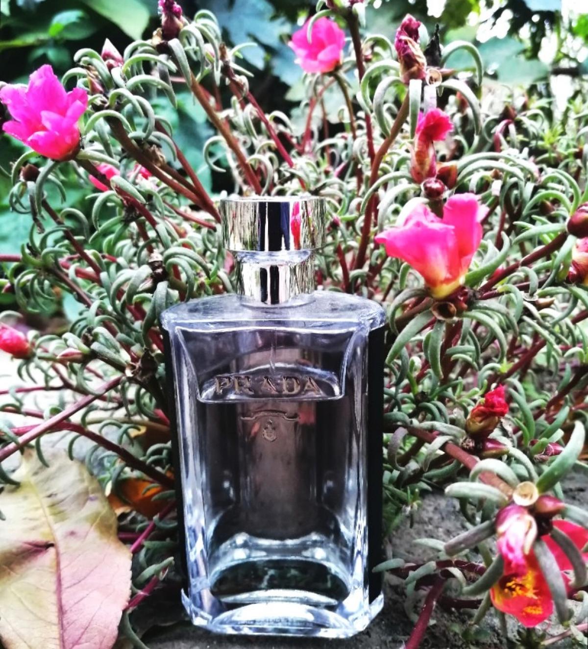 Prada L'Homme Prada cologne - a fragrance for men 2016