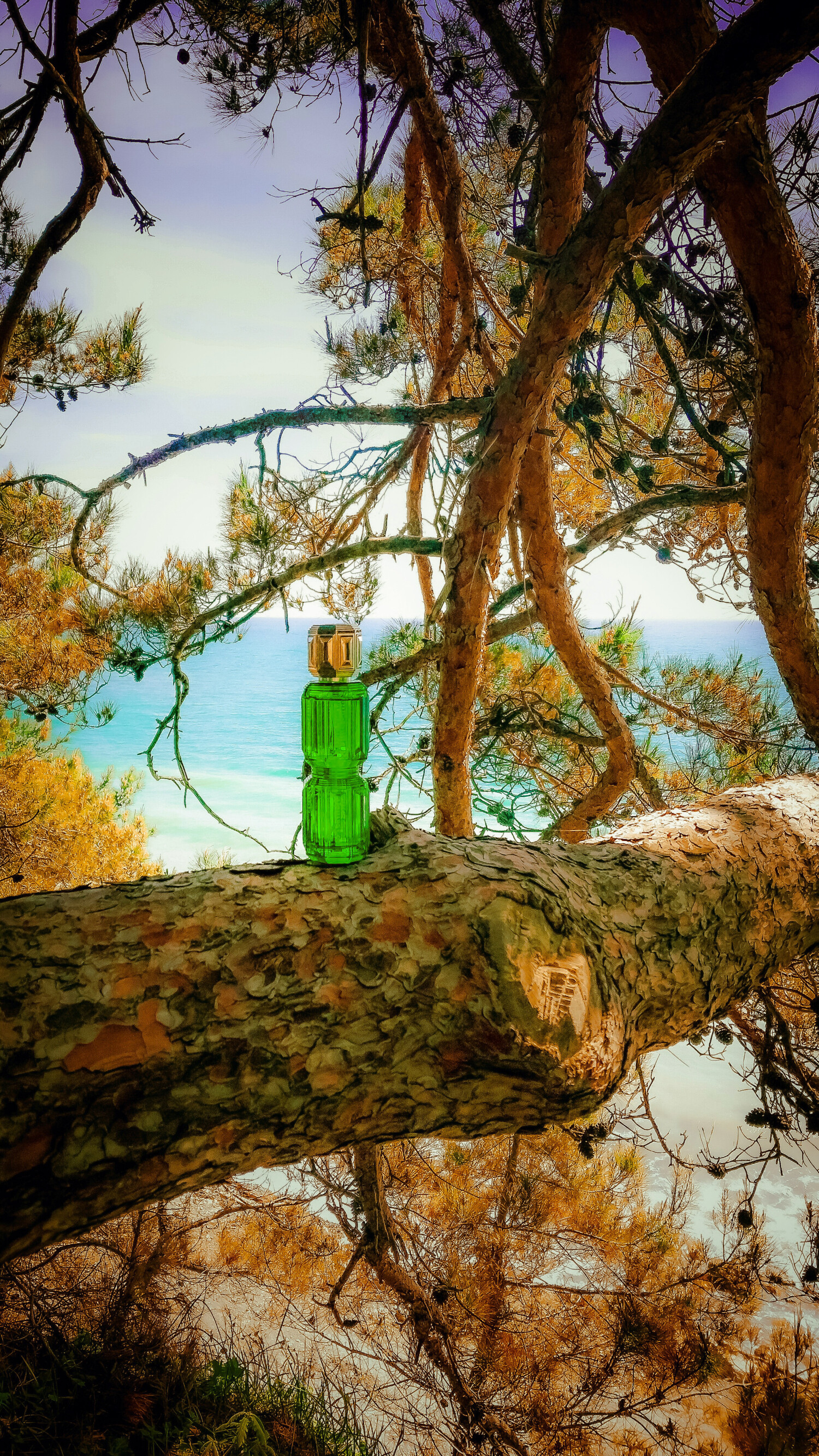 SR Eight Stefano Ricci cologne - a fragrance for men 2017