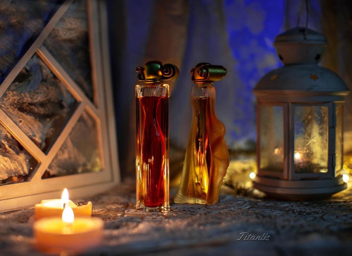 Organza Indécence Givenchy perfume - a fragrance for women 1999