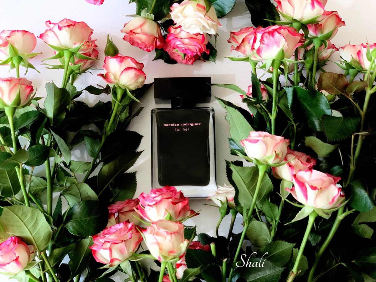 Narciso Rodriguez For Her Narciso Rodriguez perfume - a fragrance for ...