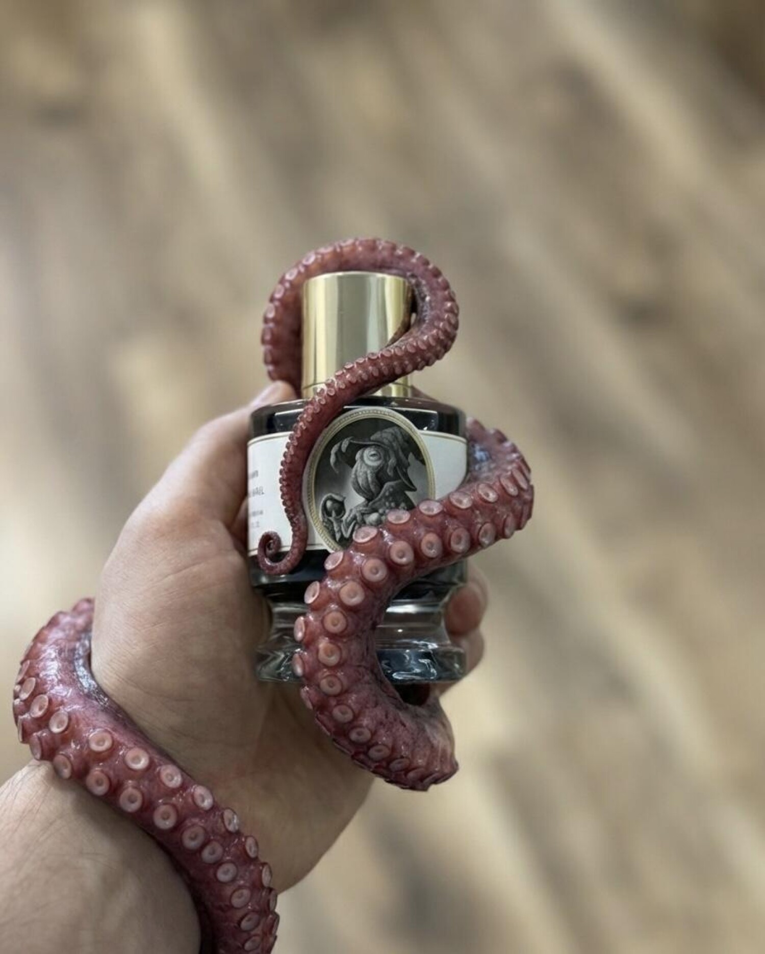 Squid Zoologist Perfumes perfume - a fragrance for women and men 2019