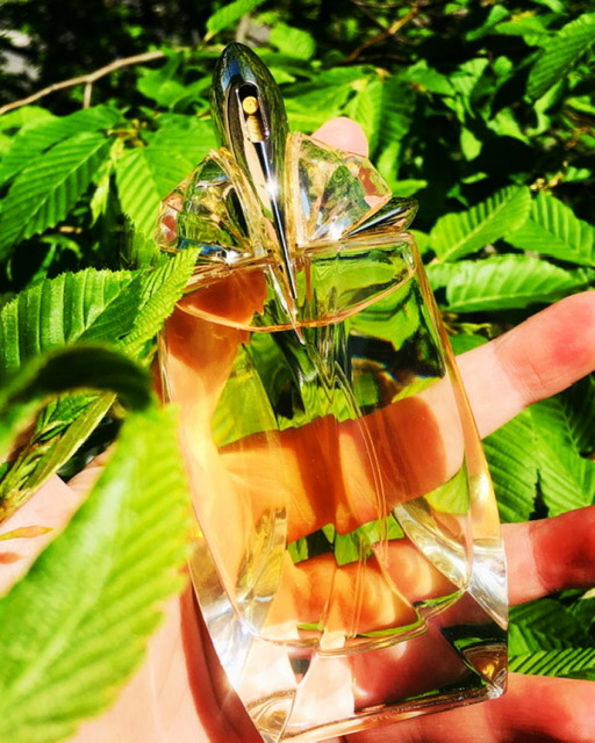 Alien Eau Extraordinaire Mugler perfume - a fragrance for women 2014