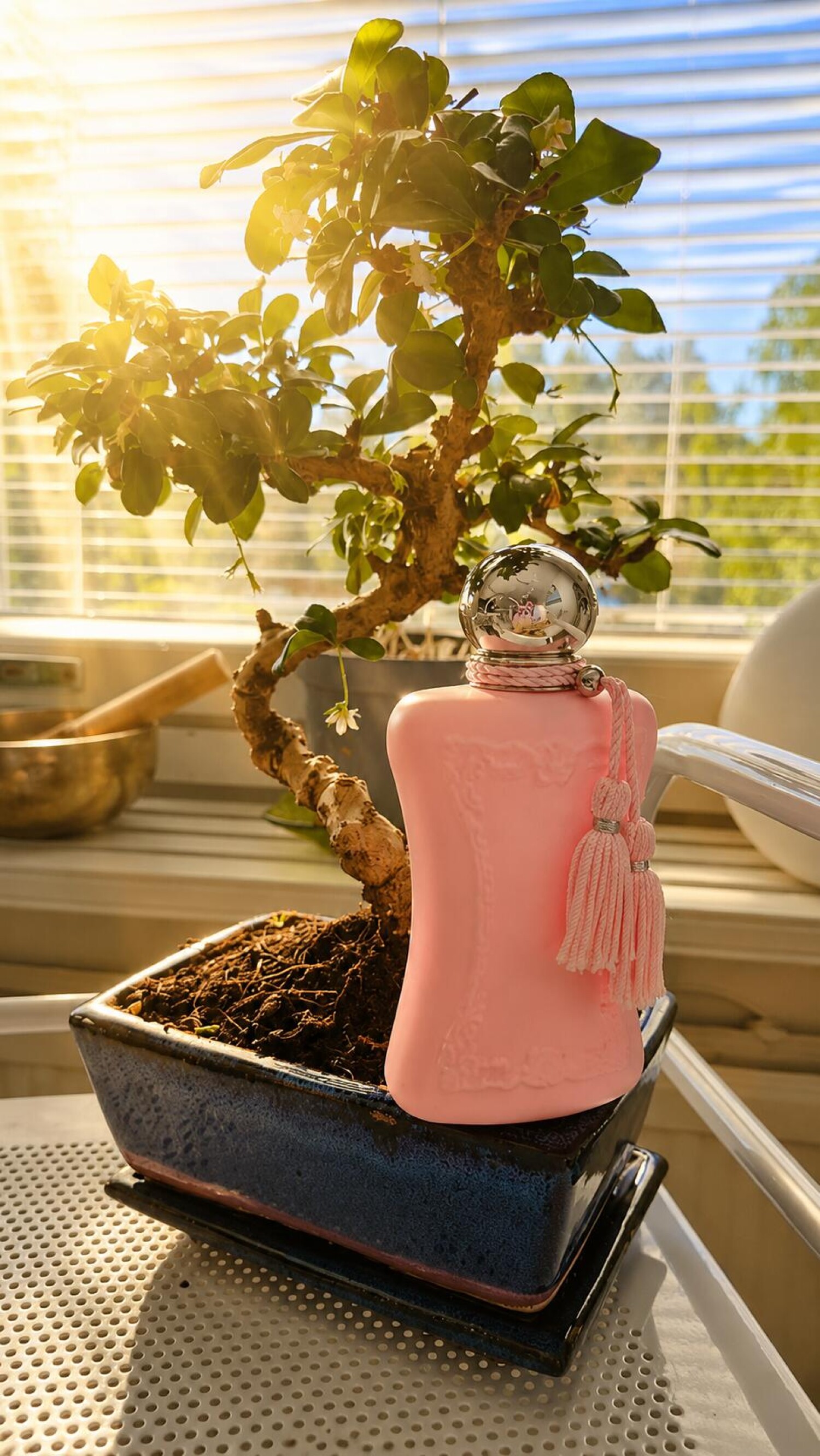 Delina Parfums de Marly perfume - a fragrance for women 2017