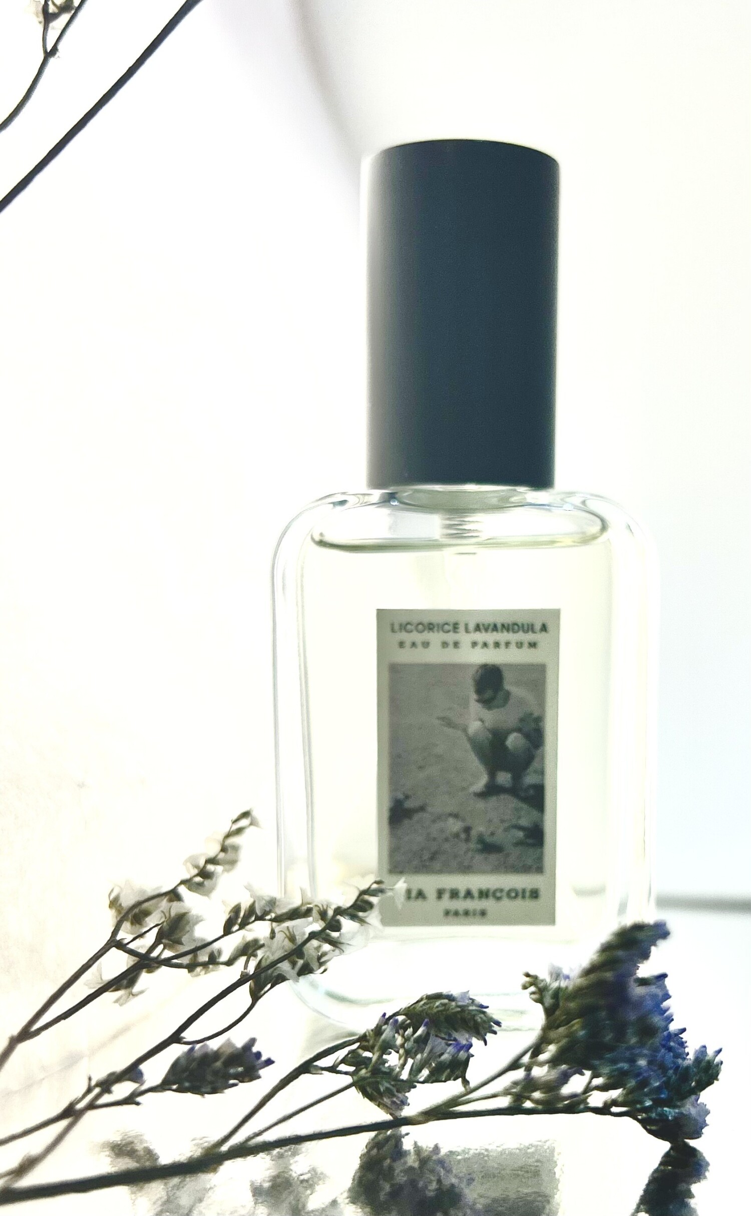 Licorice Lavandula Via François perfume - a fragrance for women and men ...