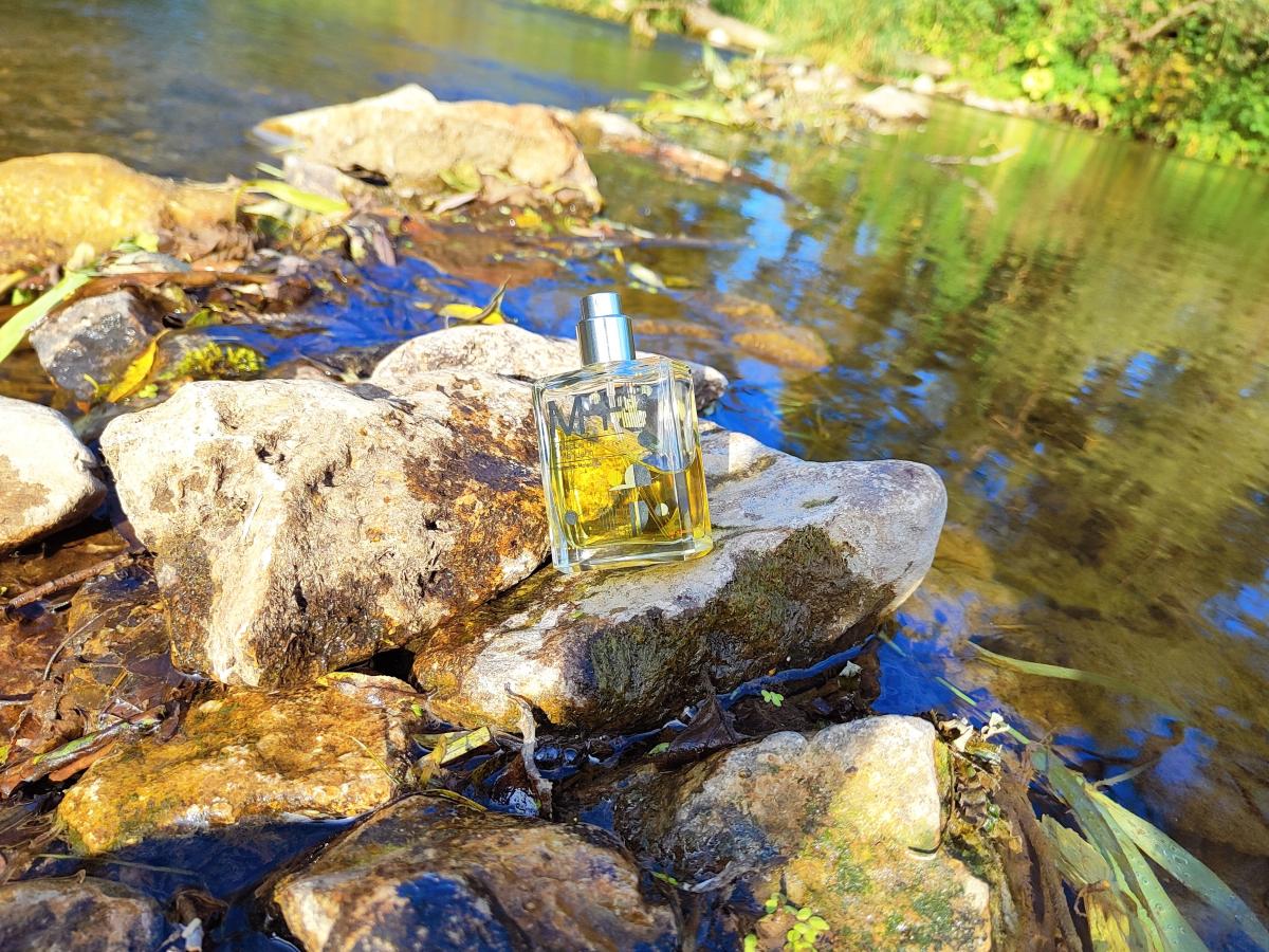 Molecule 01 + Mandarin Escentric Molecules perfume - a fragrance for ...