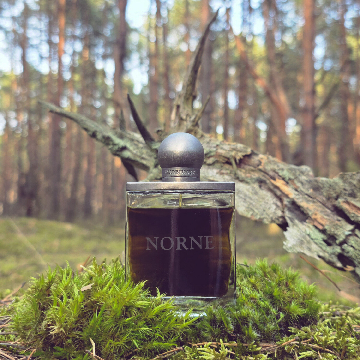 Norne Slumberhouse perfume - a fragrance for women and men 2012