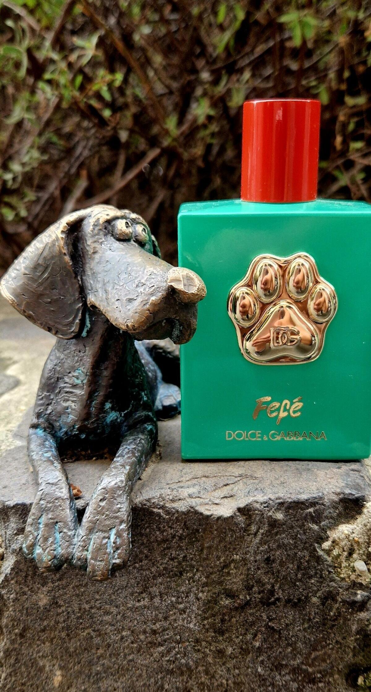 Fefé Dolce&Gabbana fragancia - una nuevo fragancia para Hombres y ...