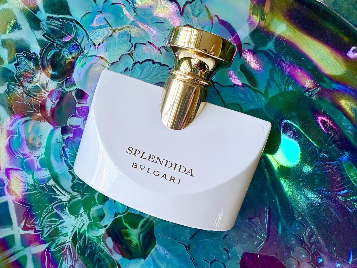 Splendida Patchouli Tentation Bvlgari perfume - a fragrance for women 2020