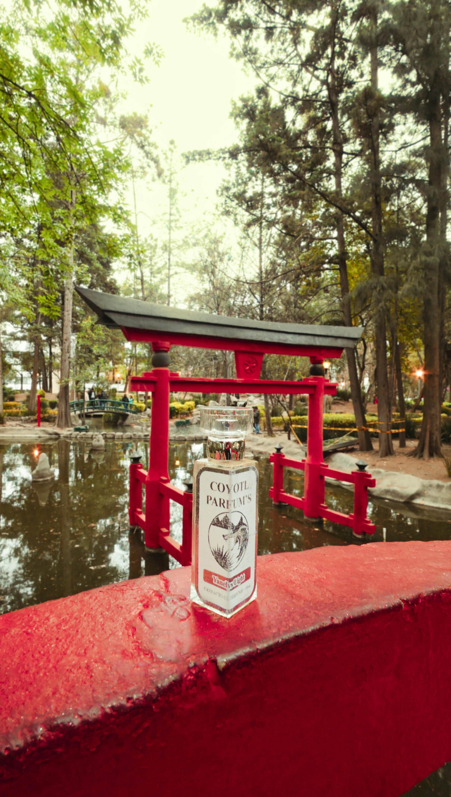 Yanelys Light Coyotl perfume - a new fragrance for women and men 2026