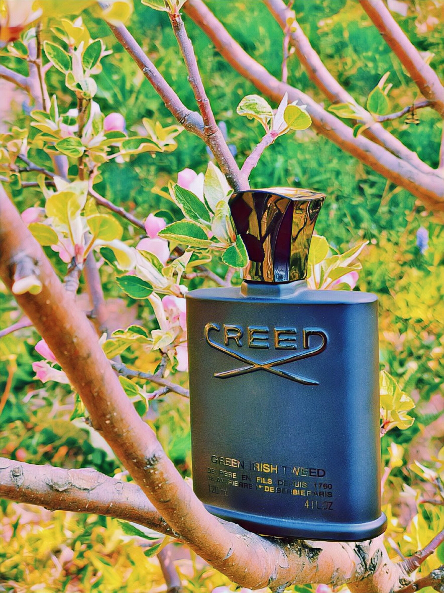 Green Irish Tweed Creed cologne - a fragrance for men 1985