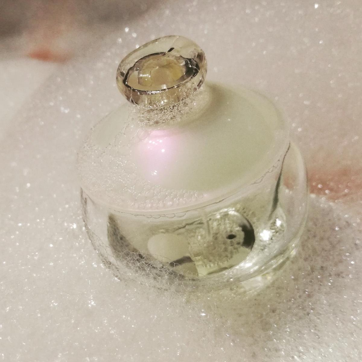 Noa Cacharel perfume - a fragrância Feminino 1998