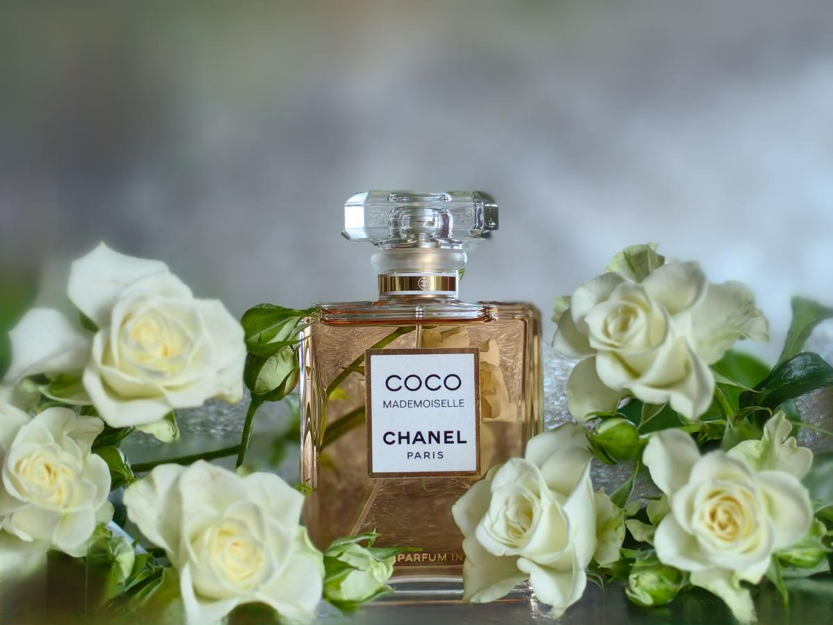 Coco Mademoiselle Intense Chanel perfume - a fragrance for women 2018