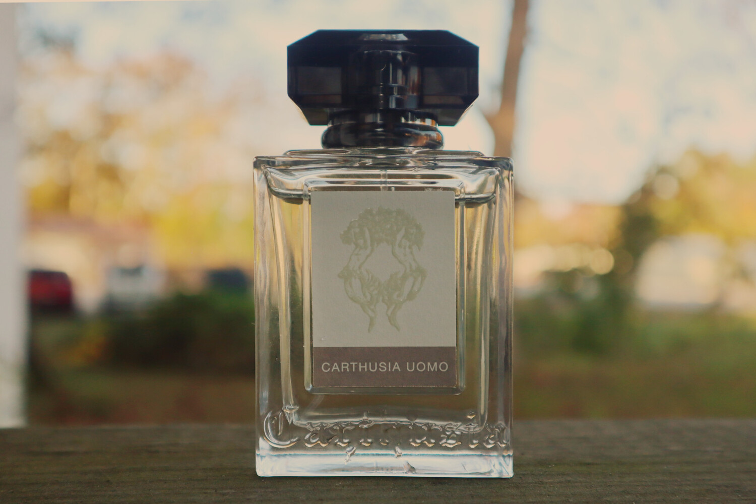 Carthusia Uomo Carthusia cologne - a fragrance for men 2004