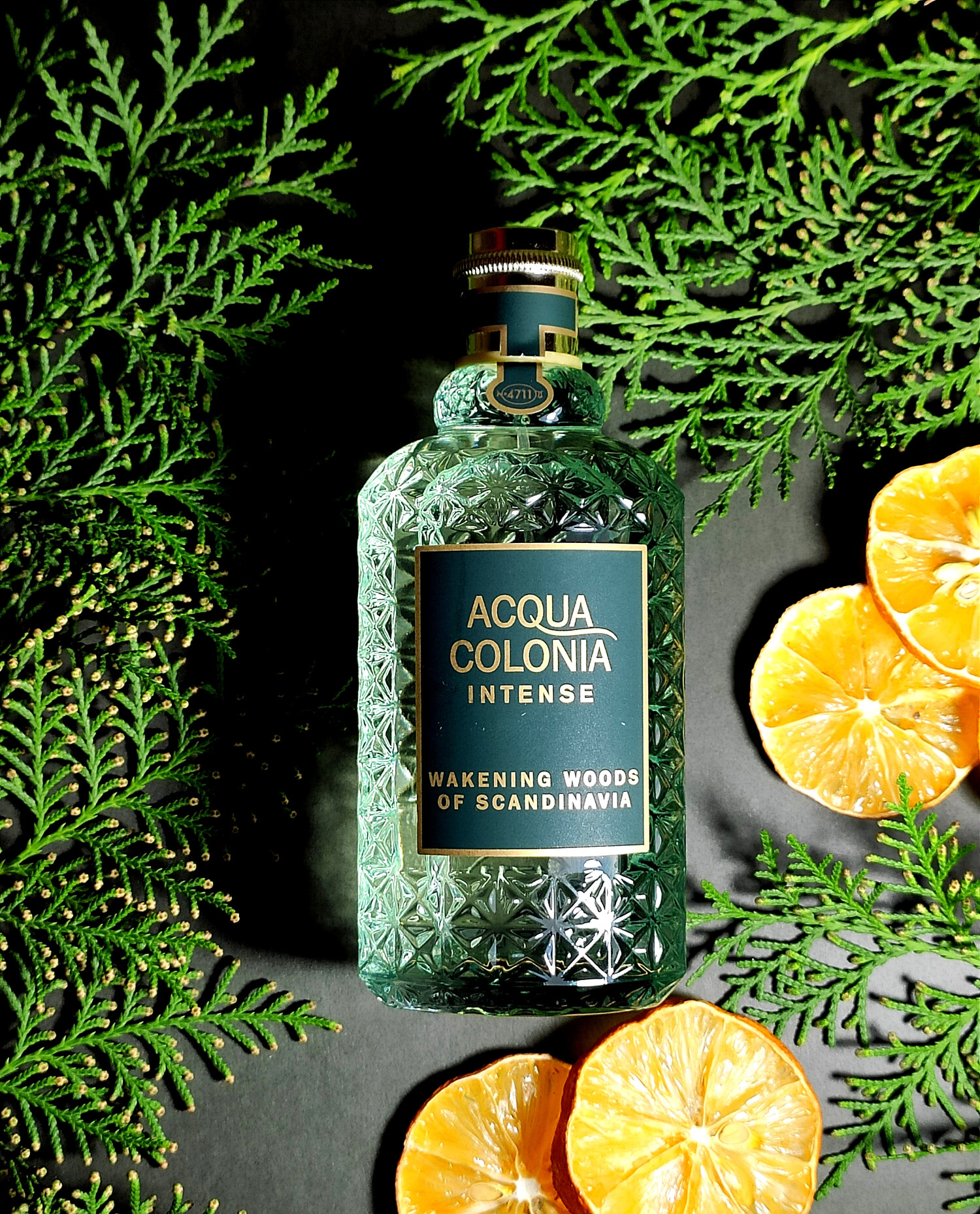 4711 Acqua Colonia Intense Wakening Woods Of Scandinavia 4711 perfume ...