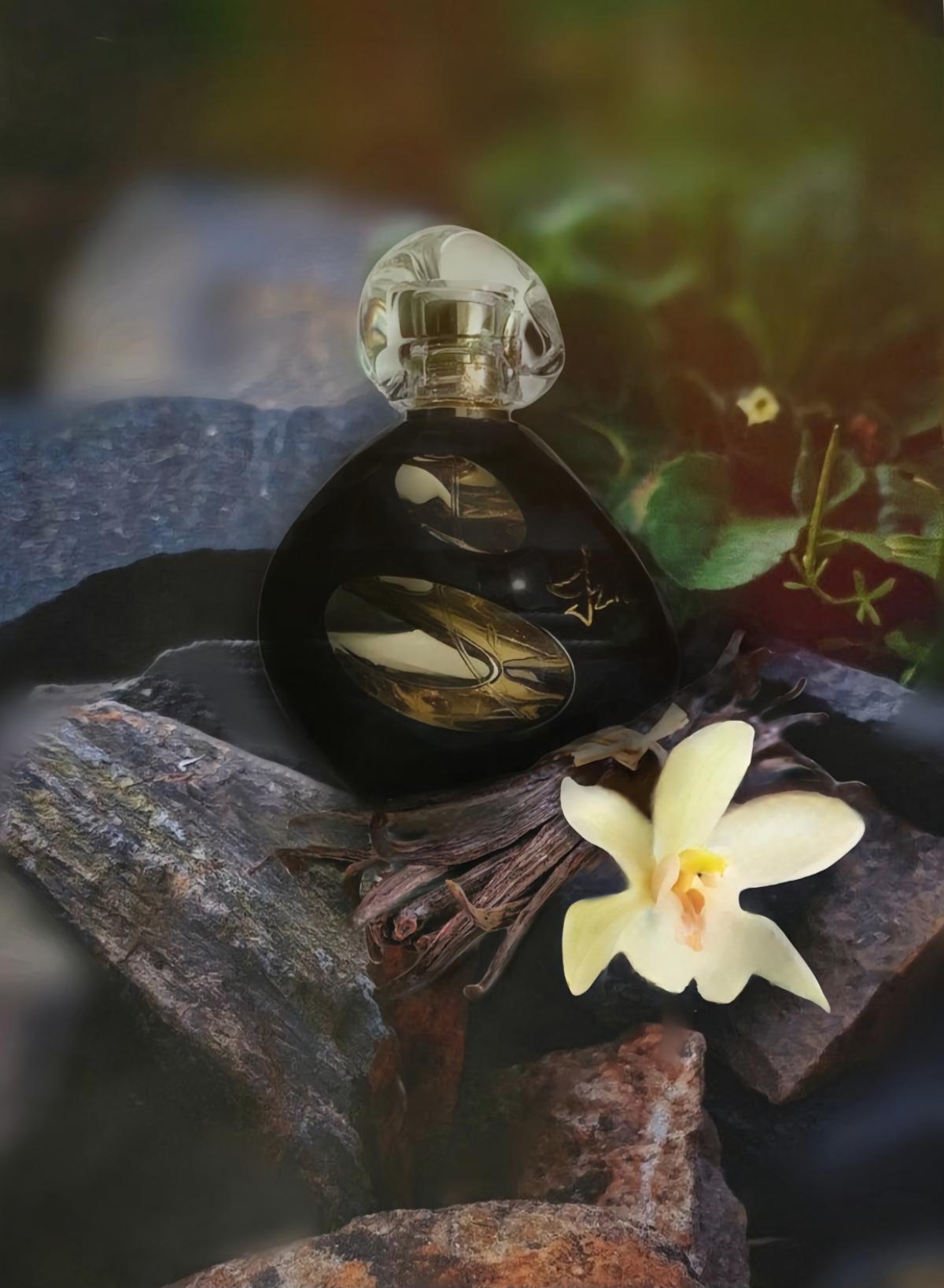 Izia La Nuit Sisley perfume - a fragrance for women 2021