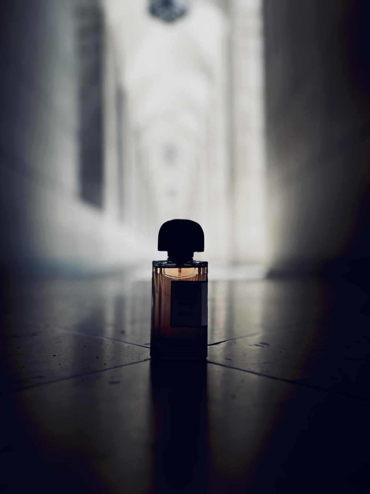 Impadia BDK Parfums perfume - a new fragrance for women and men 2025