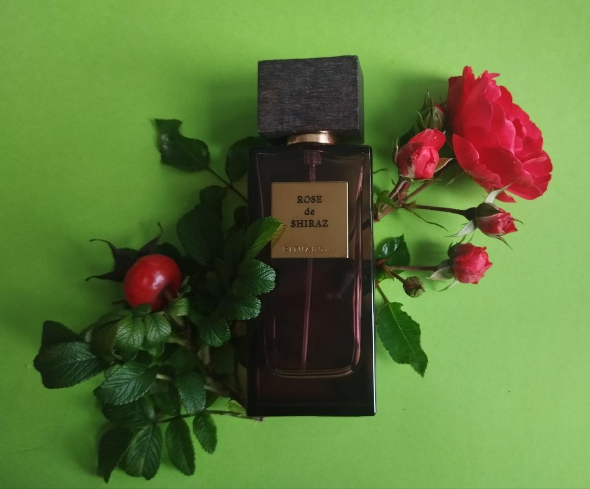 Rose de Shiraz Rituals parfum - een geur voor dames en heren 2019