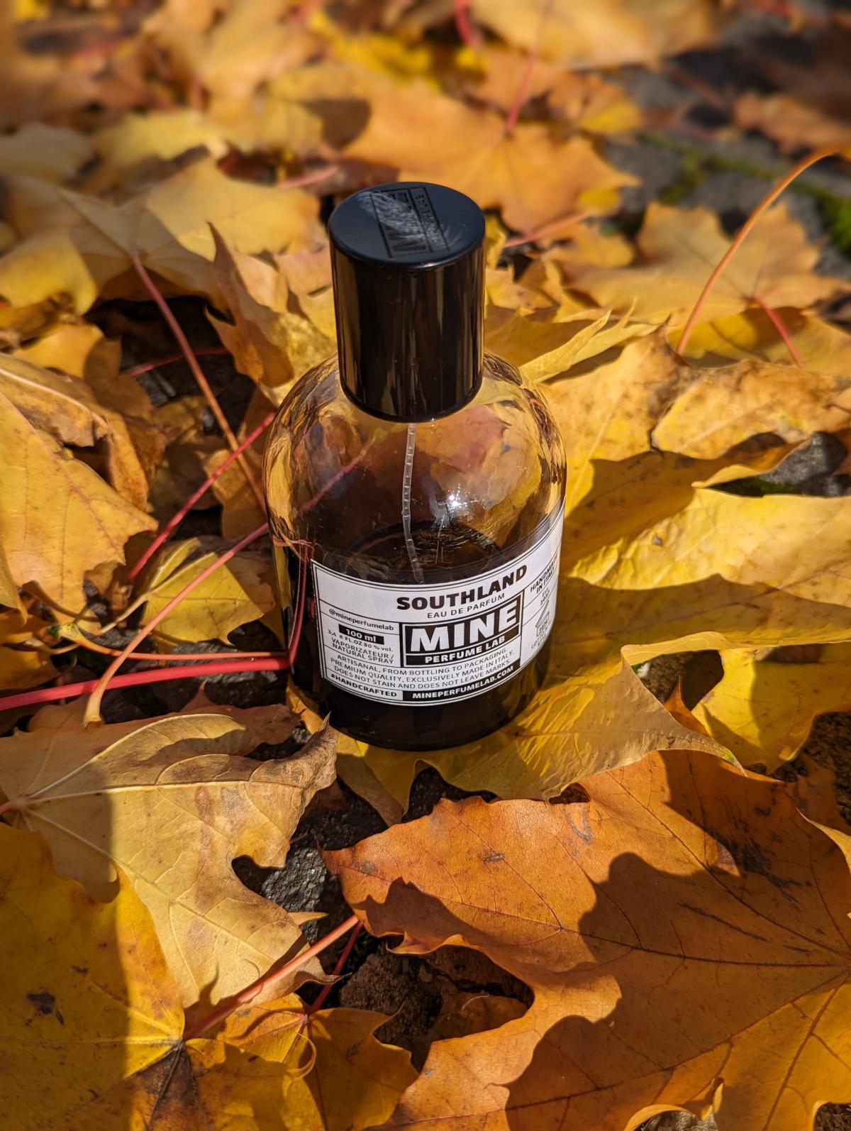 Southland Mine Perfume Lab аромат — аромат для мужчин и женщин 2020