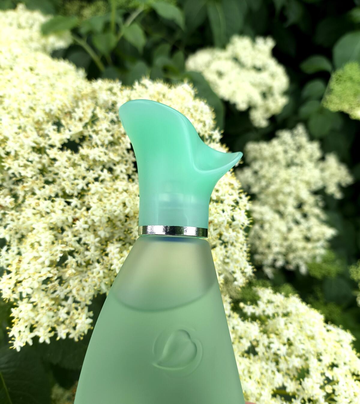 Chanson d'Eau Coty perfume - a fragrância Feminino 1995