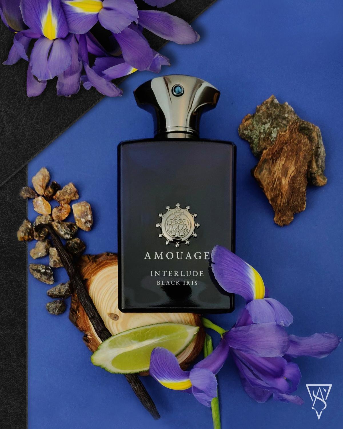 Interlude Black Iris Amouage perfume - a fragrance for women and men 2020