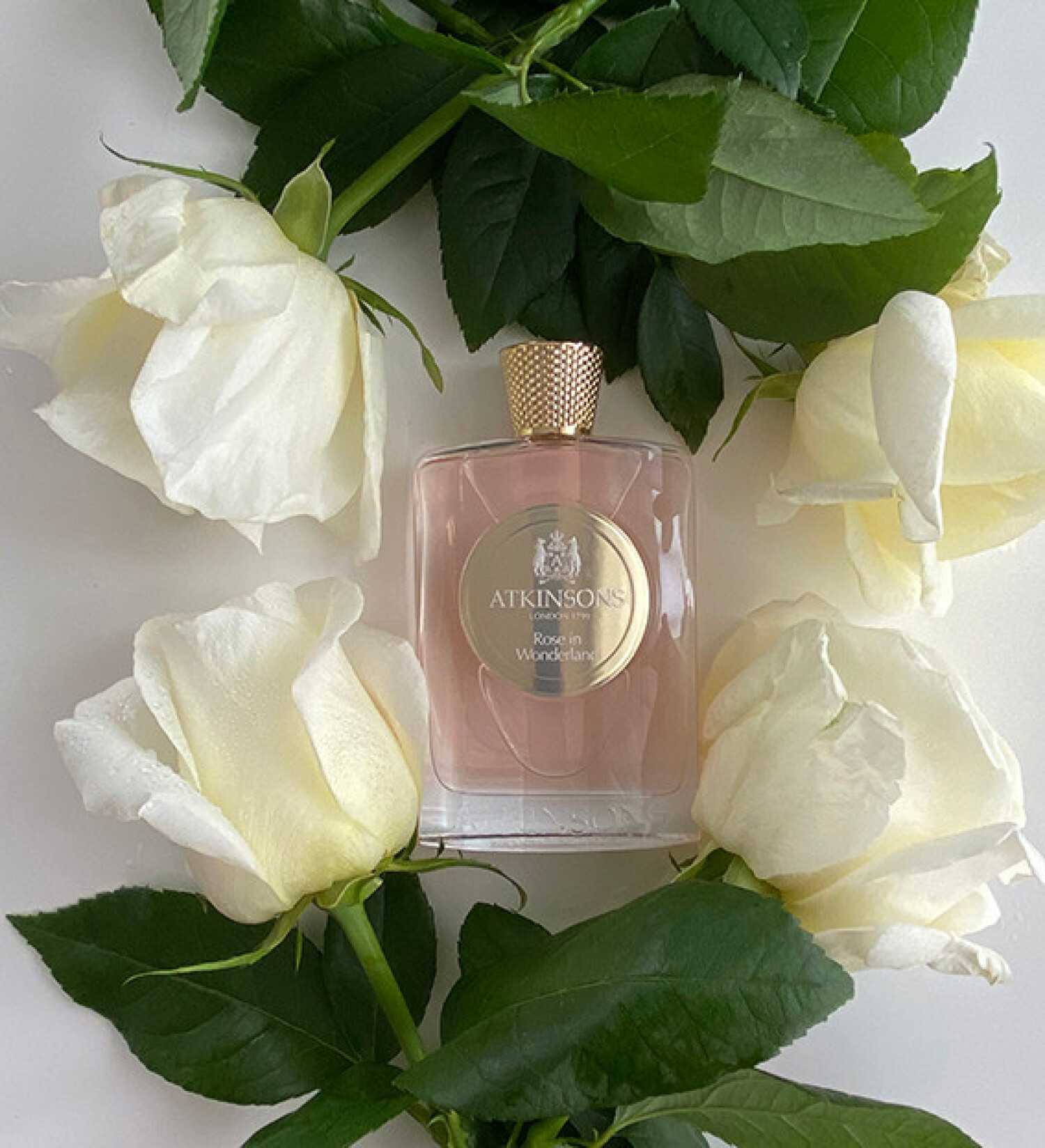 Rose in Wonderland Atkinsons perfume - a fragrance for women and men 2014