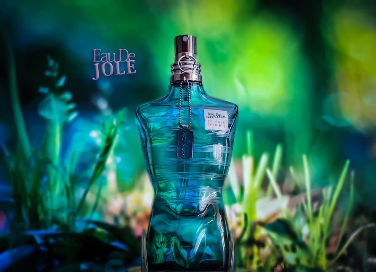 Le Male Terrible Jean Paul Gaultier cologne - a fragrance for men 2010