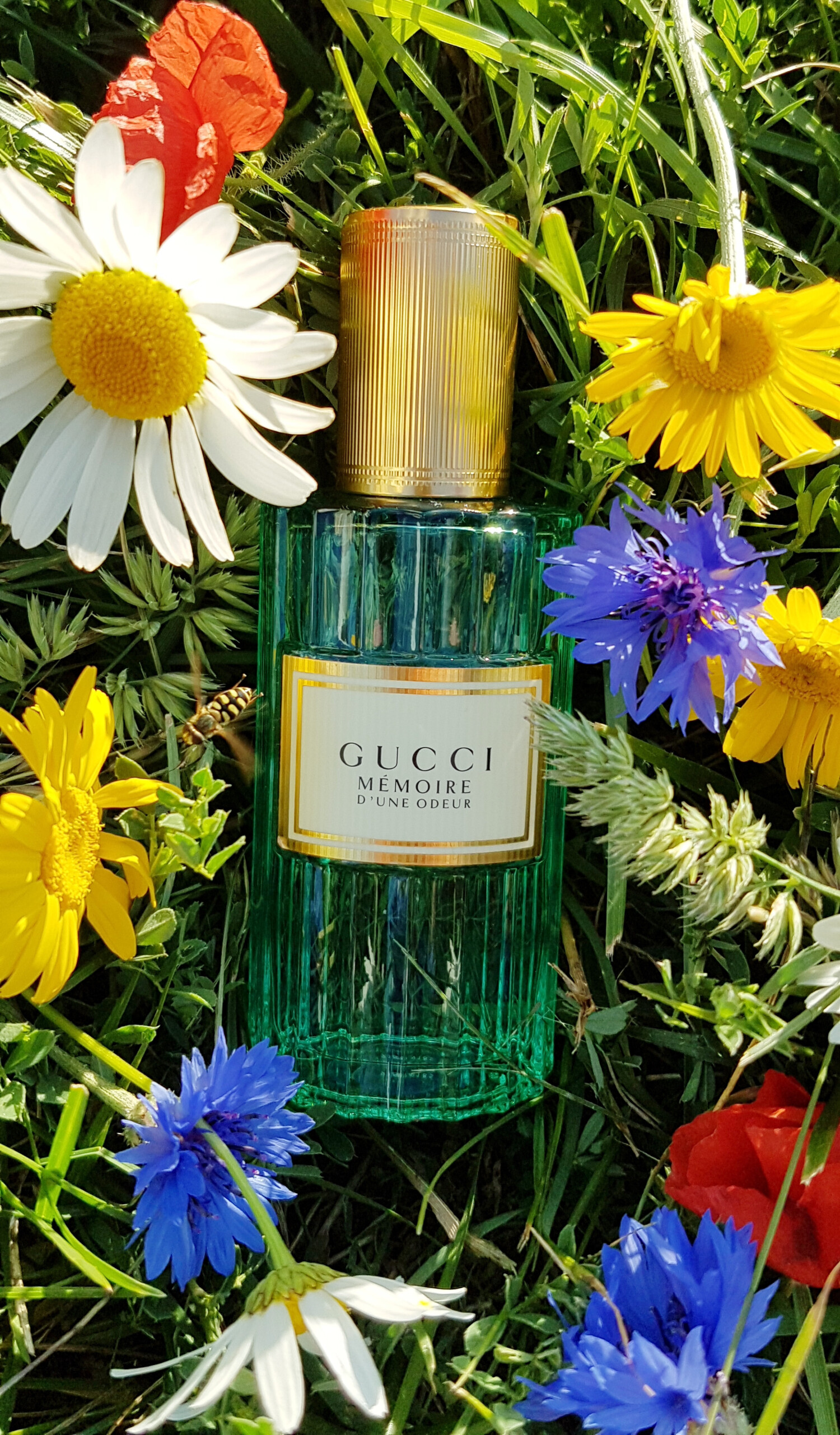 Mémoire d’une Odeur Gucci perfume - a fragrance for women and men 2019