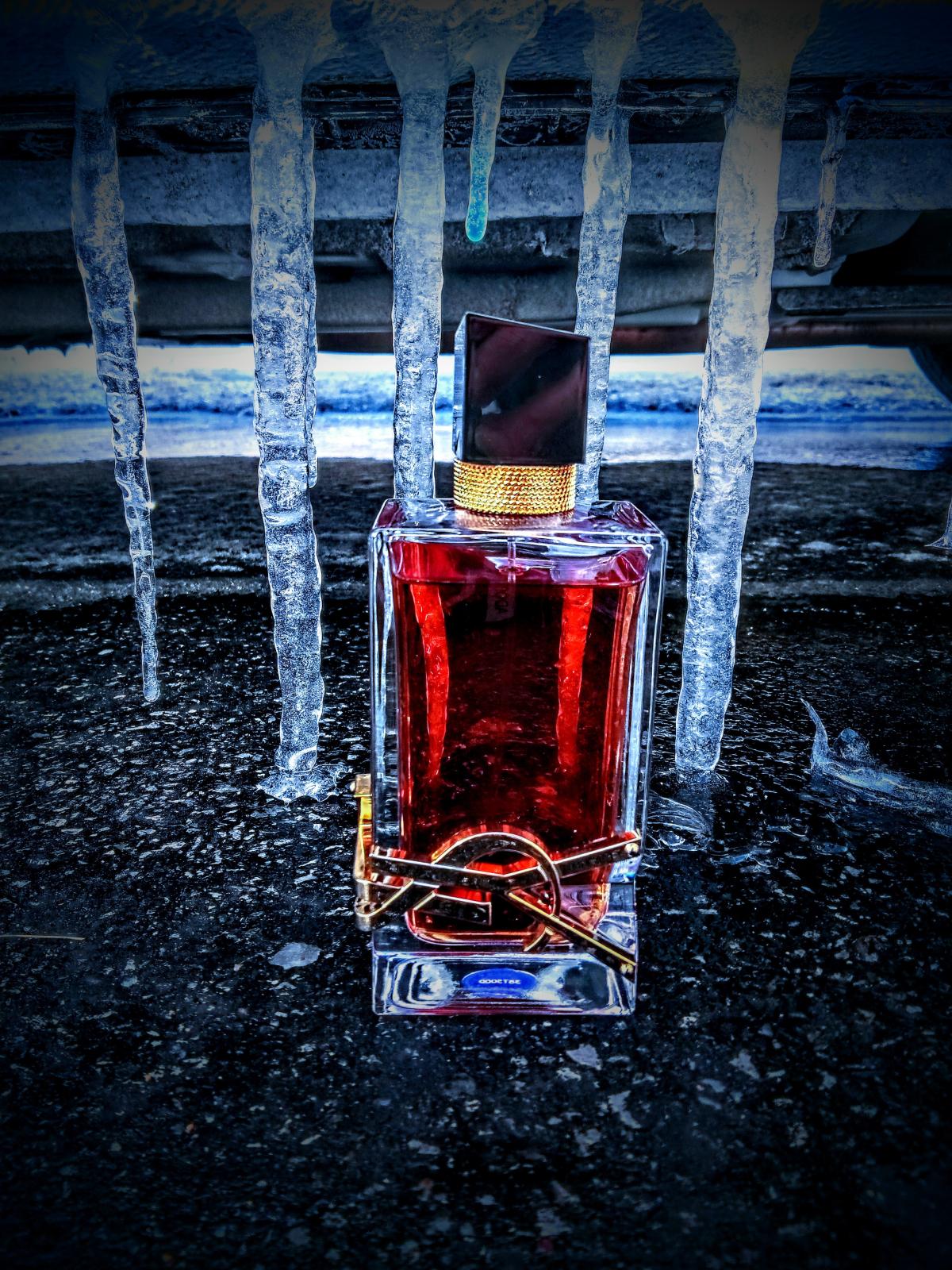 Libre Intense Yves Saint Laurent perfume - a new fragrance for women 2020