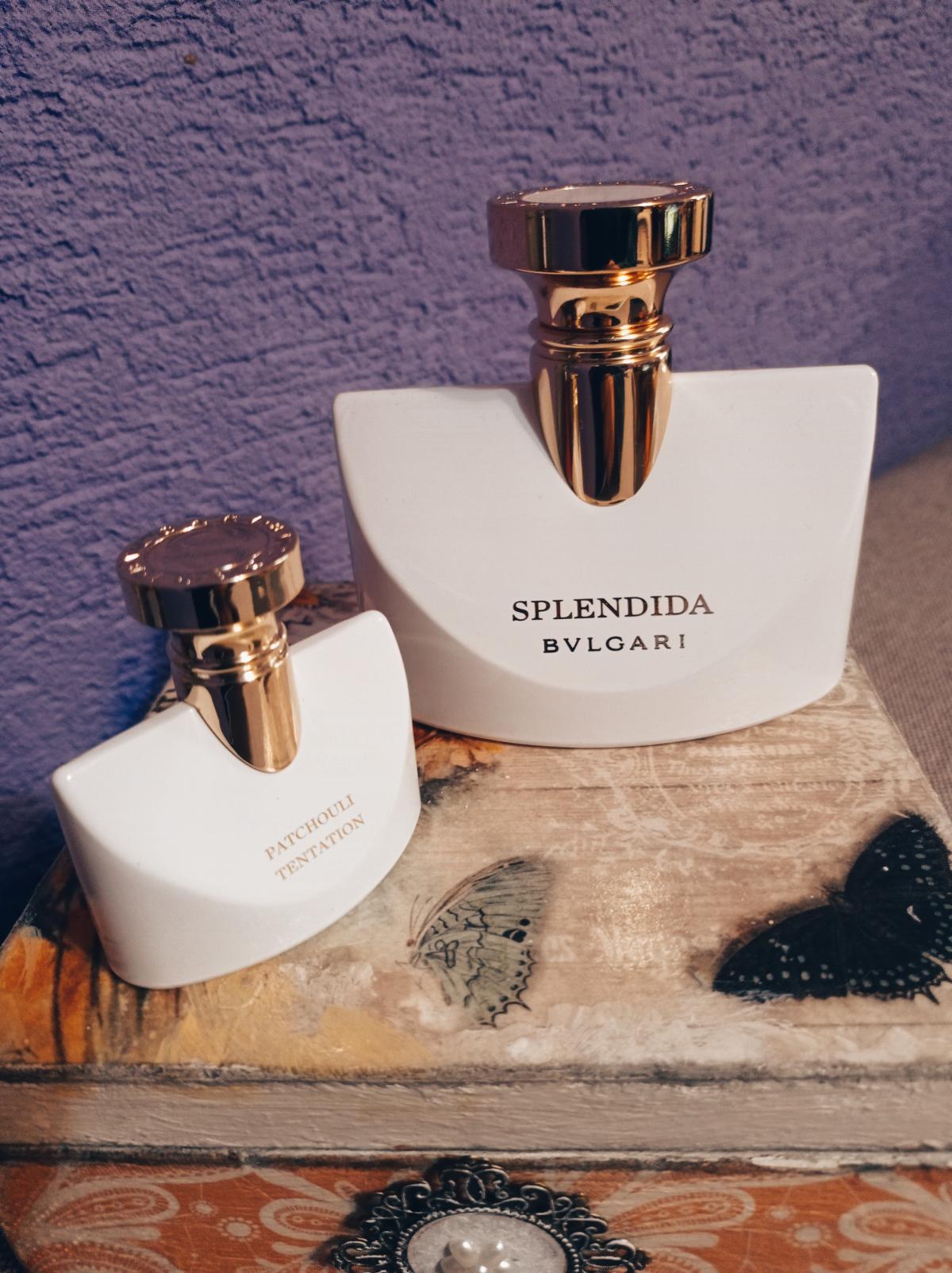 Splendida Patchouli Tentation Bvlgari perfume - a fragrance for women 2020