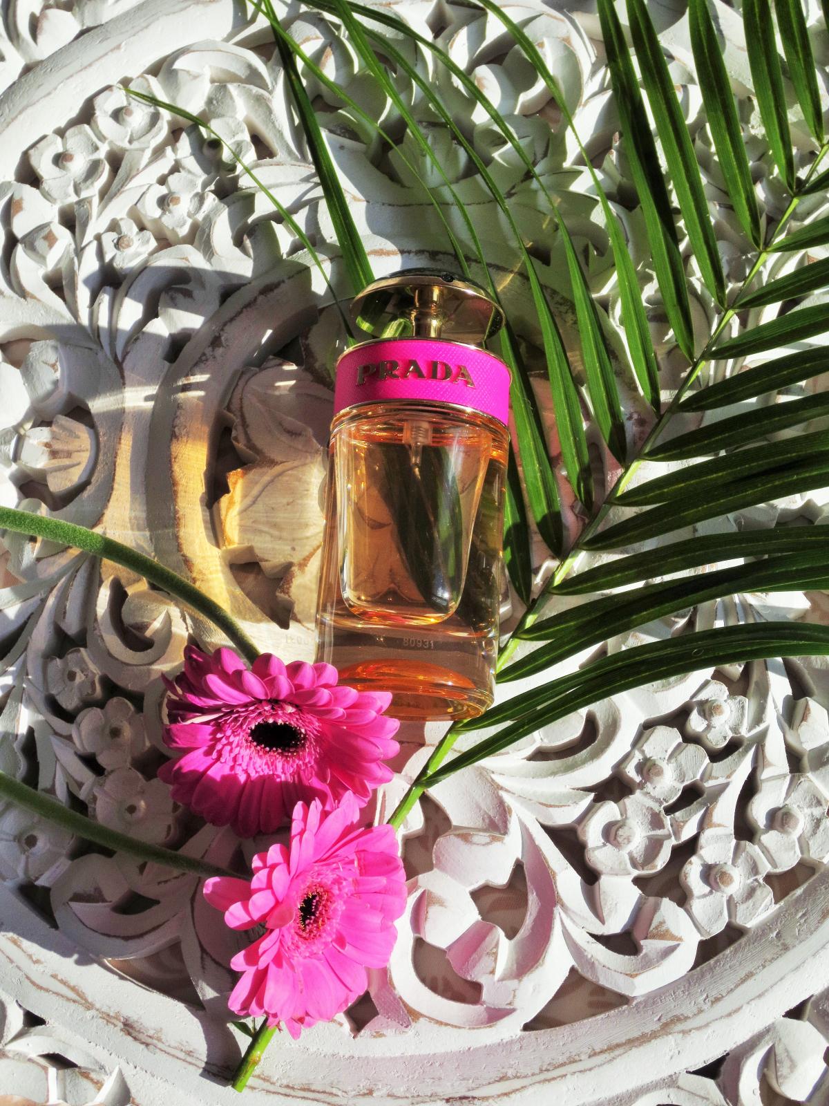 Prada Candy Prada perfume - a fragrance for women 2011