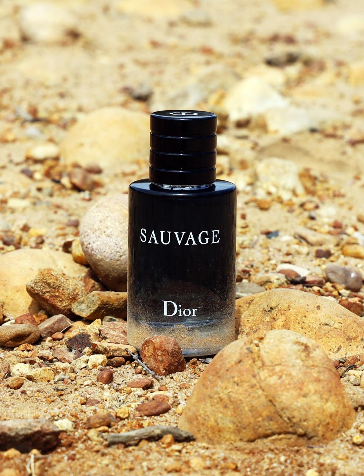 Sauvage Dior Cologne - ein es Parfum für Männer 2015