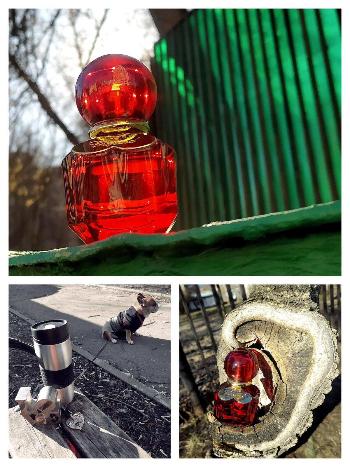 Love Chopard Chopard perfume - a fragrance for women 2020