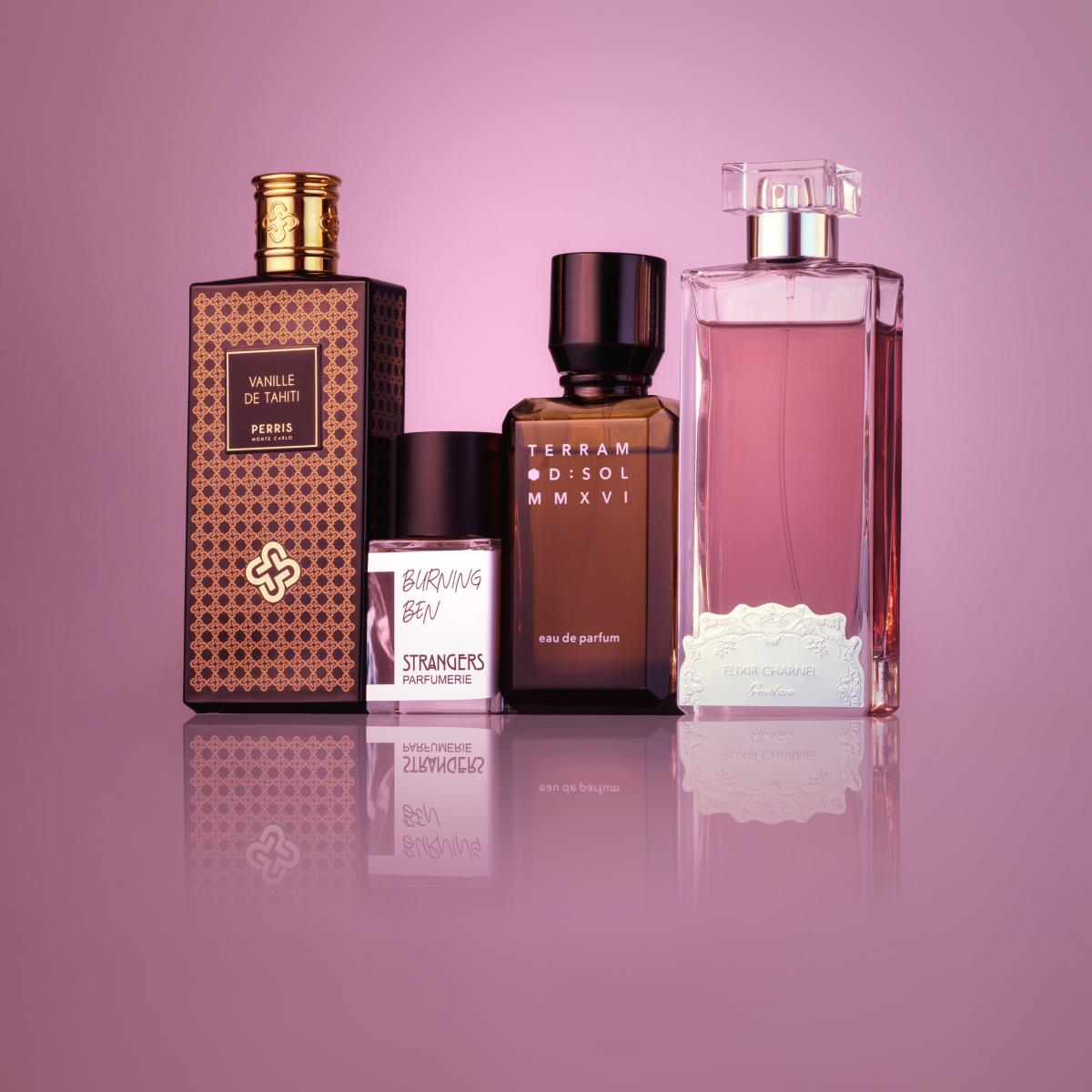 Elixir Charnel Gourmand Coquin Guerlain perfume - a fragrance for women ...