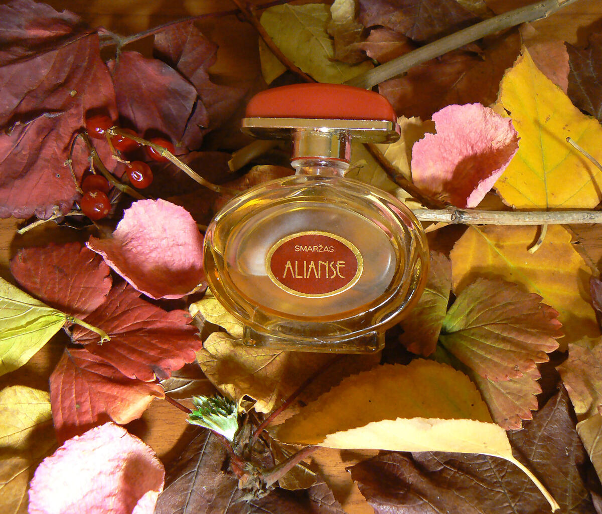 Alianse Dzintars perfume - a fragrance for women 1987