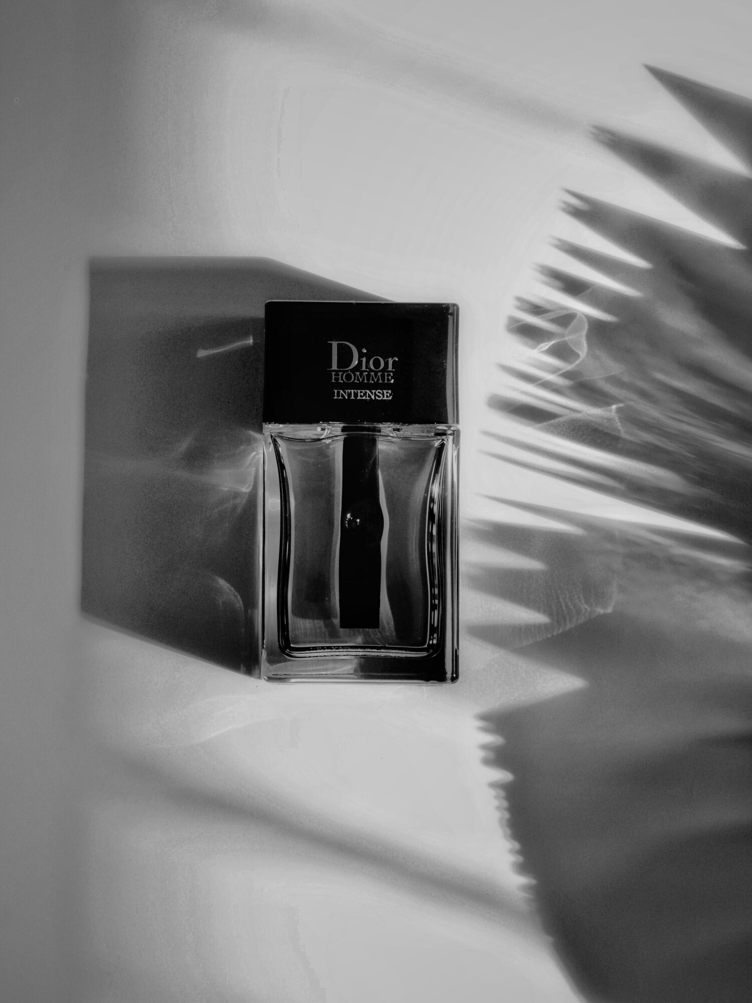 Dior Homme Intense 2011 Dior cologne - a fragrance for men 2011