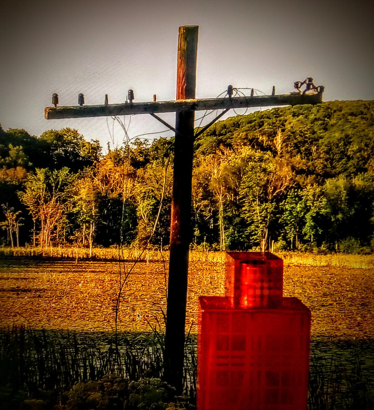 Burberry Brit Red Burberry perfume - a fragrance for women 2004