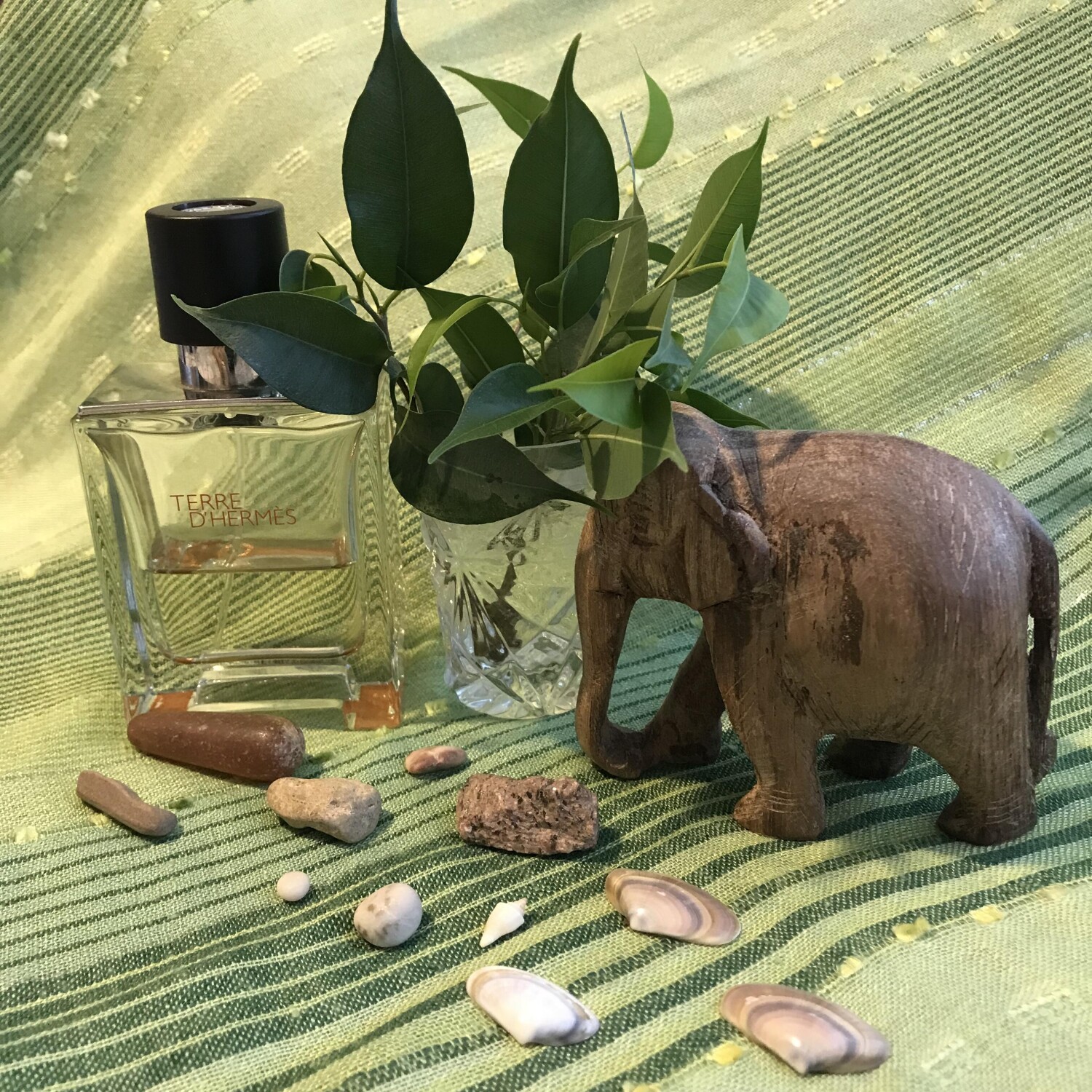 Terre d'Hermès Hermès cologne - a fragrance for men 2006