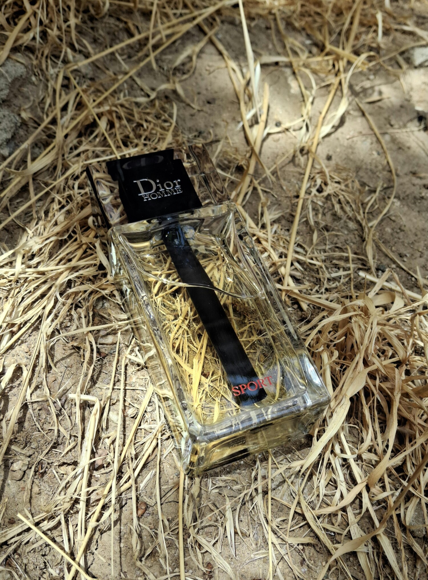 Dior Homme Sport 2021 Dior cologne - a fragrance for men 2022