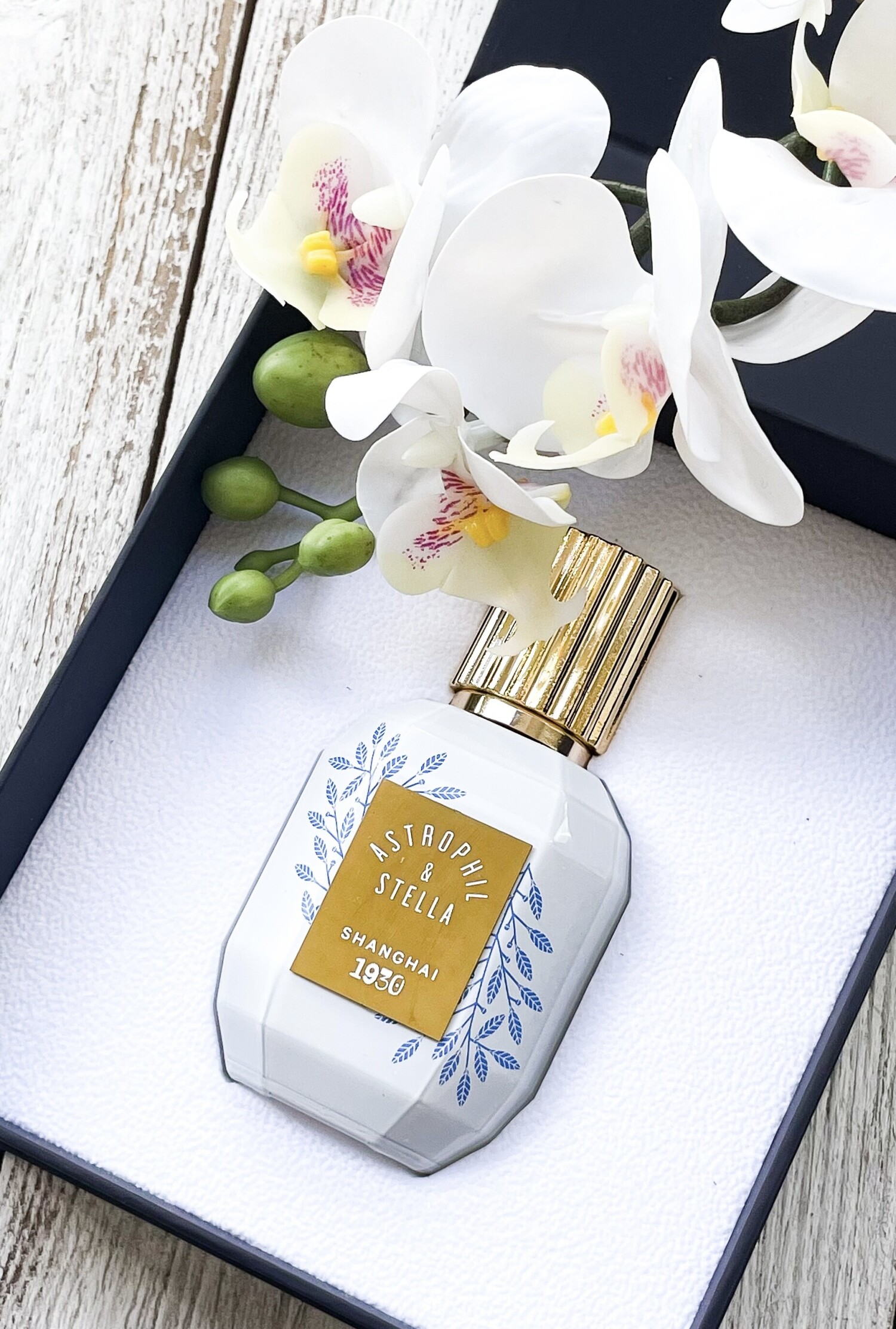 Shanghai 1930 Astrophil & Stella perfume - a fragrance for women and ...
