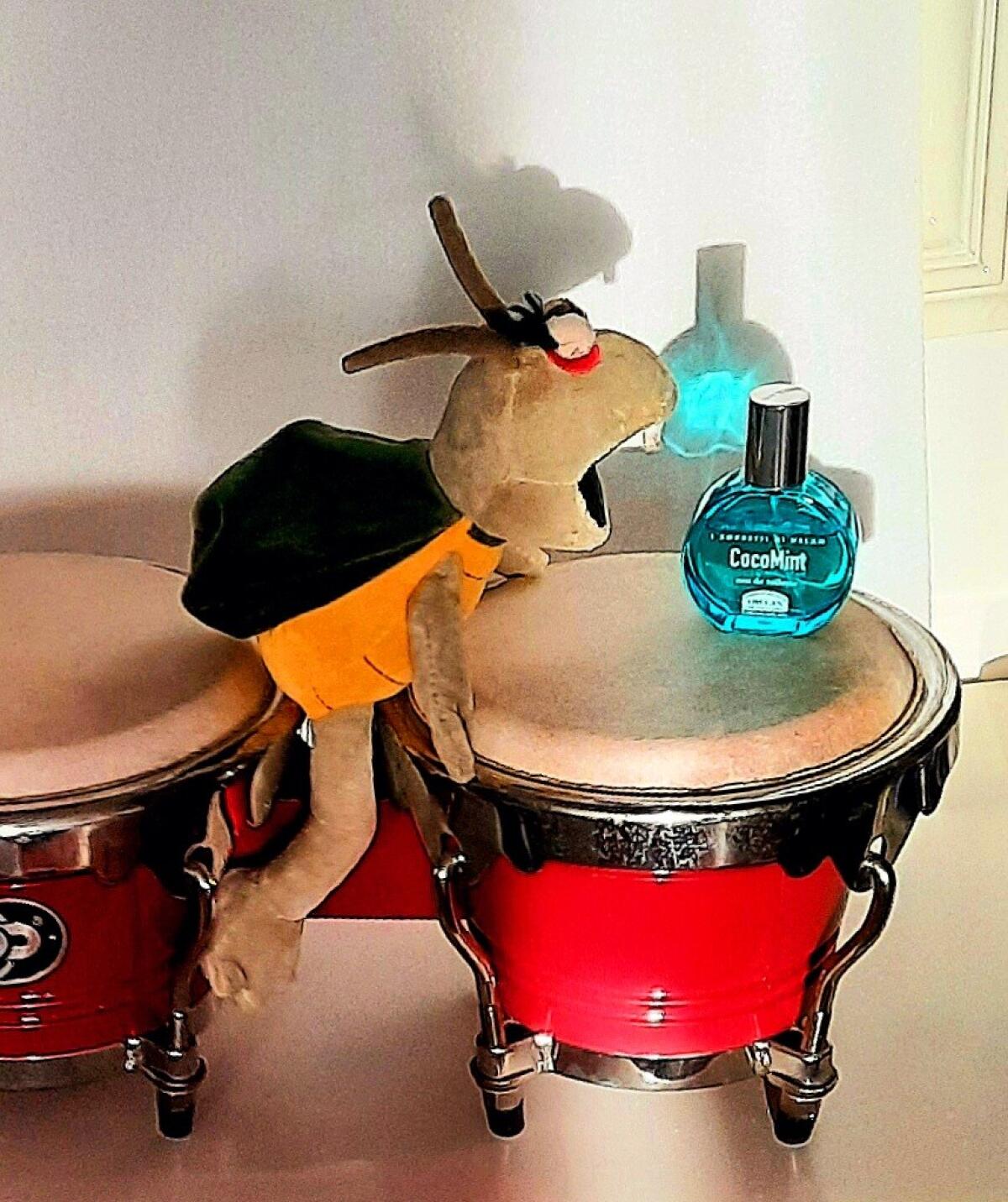 CocoMint Helan perfume - a novo fragrância Compartilhável 2023