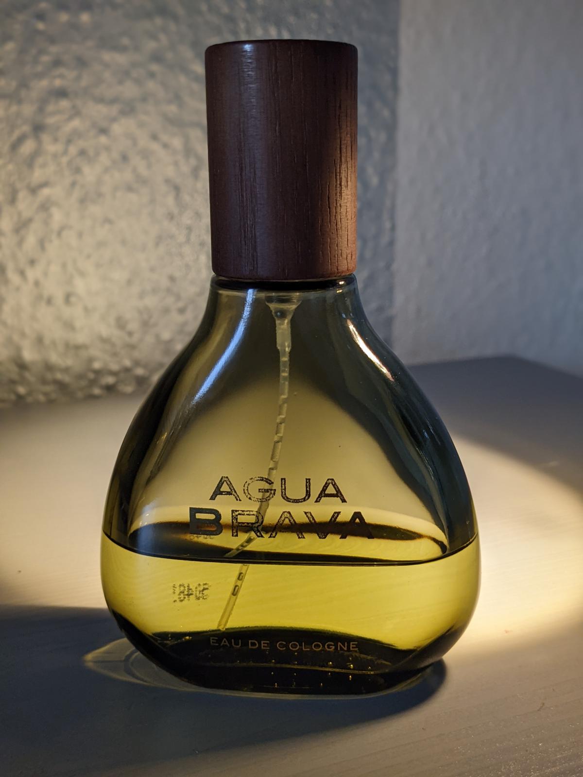 Agua Brava Antonio Puig cologne - a fragrance for men 1968